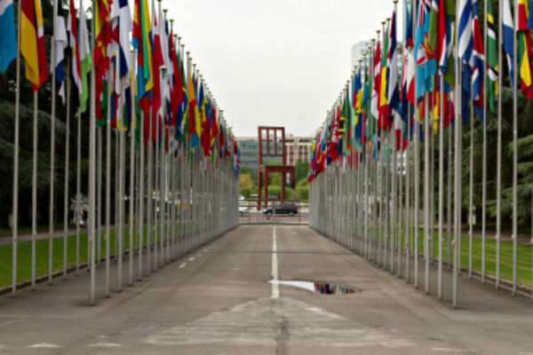 Qu’est-ce qu’une organisation internationale ? | Emploipublic